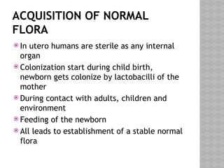 Normal Body Flora MEDICAL MICROBIOLOGY.pptx