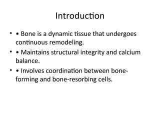 Normal_Bone_Metabolism_Presentation.pptx