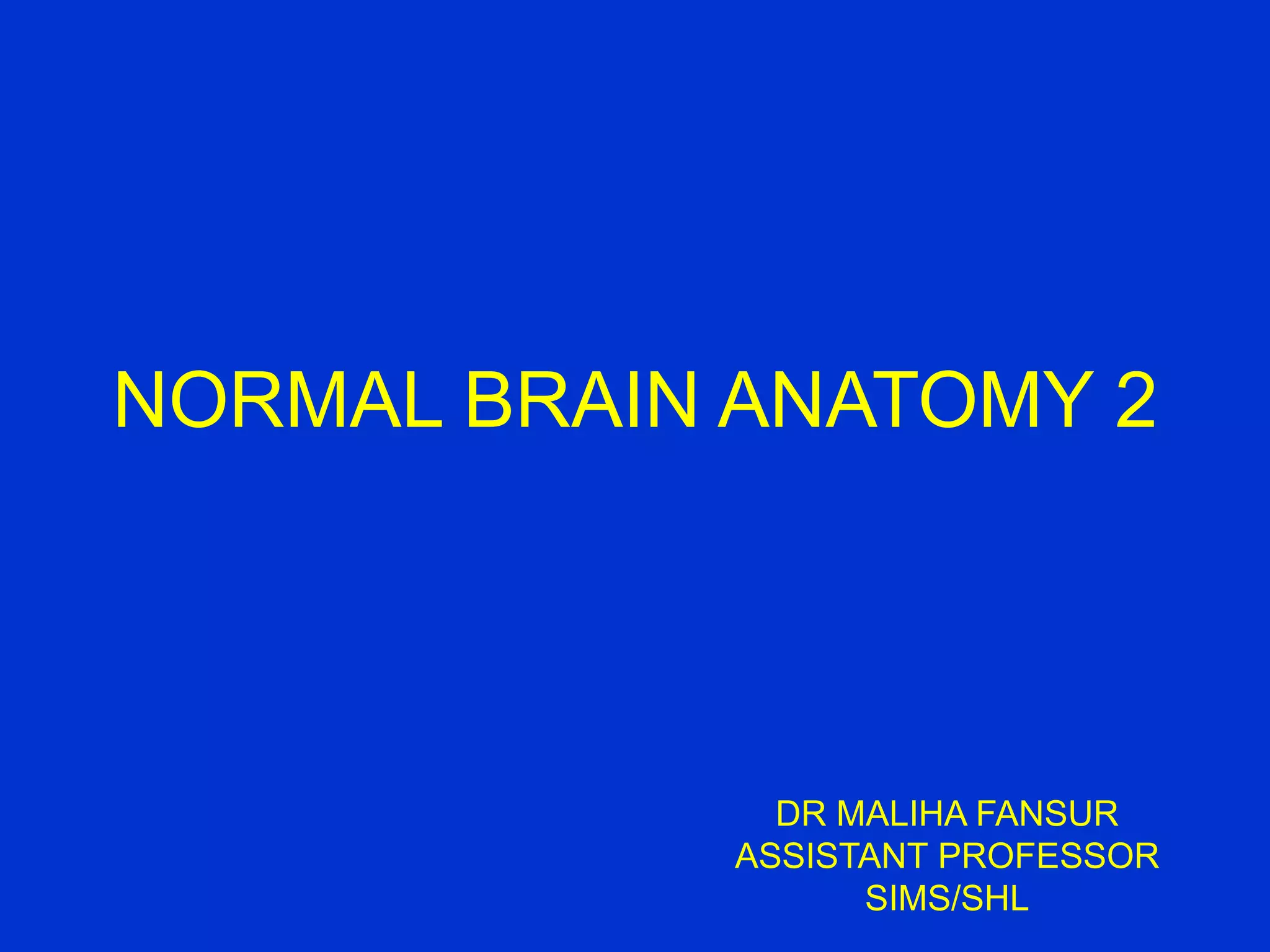 NORMAL BRAIN ANATOMY 2.ppt