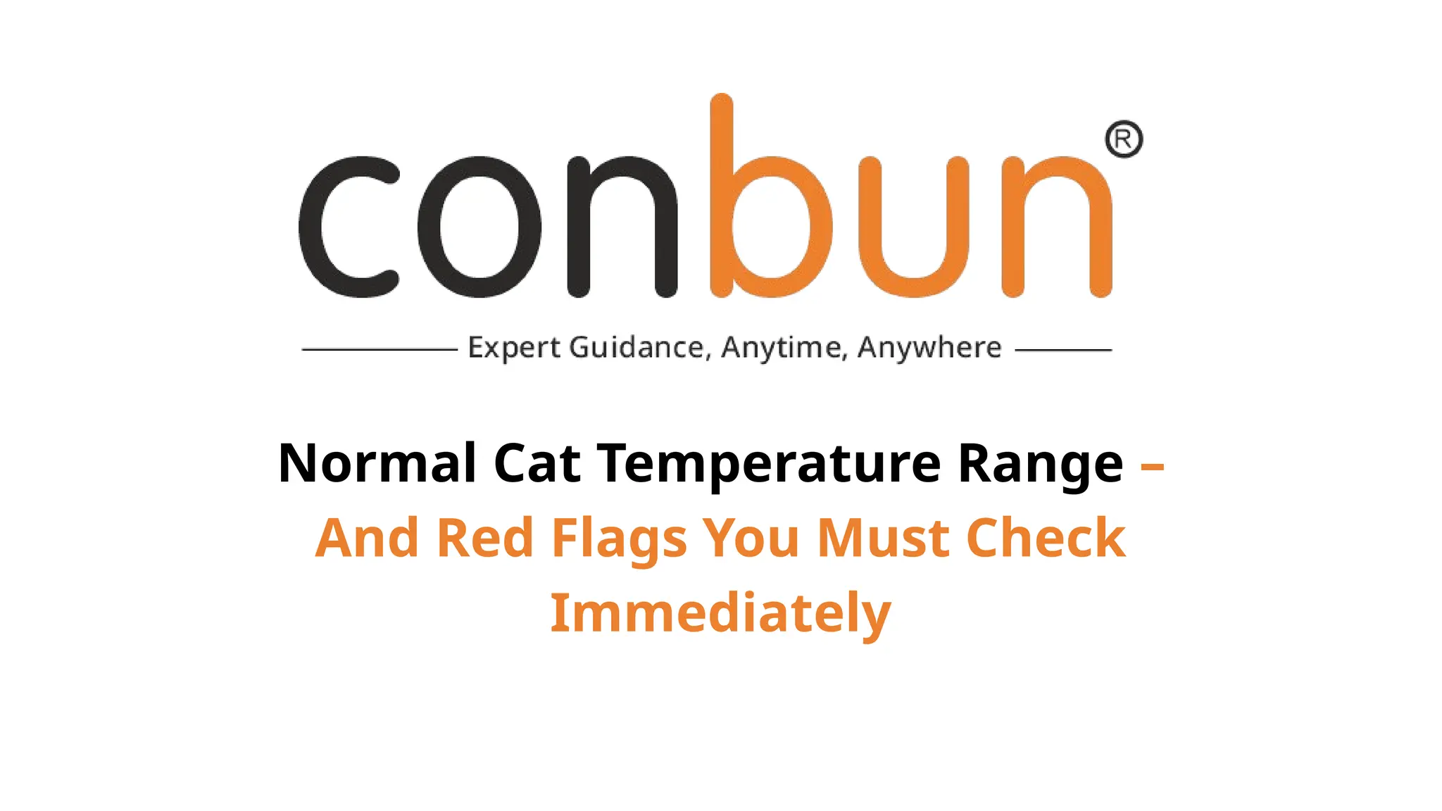 Normal Cat Temperature Range – And Red Flags You Must Check Immediately ...