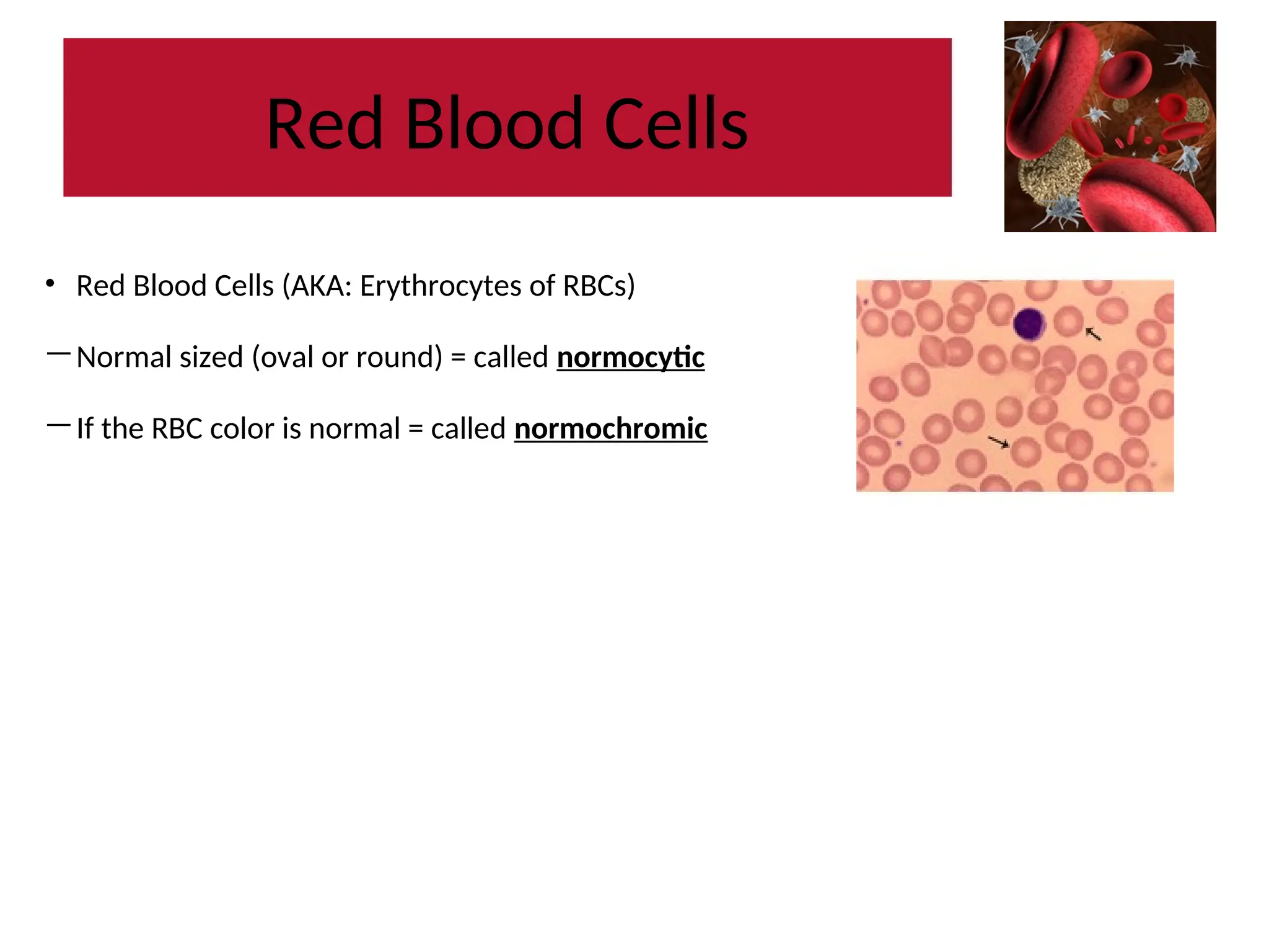 Normal human Blood Cell Morphology.ppt