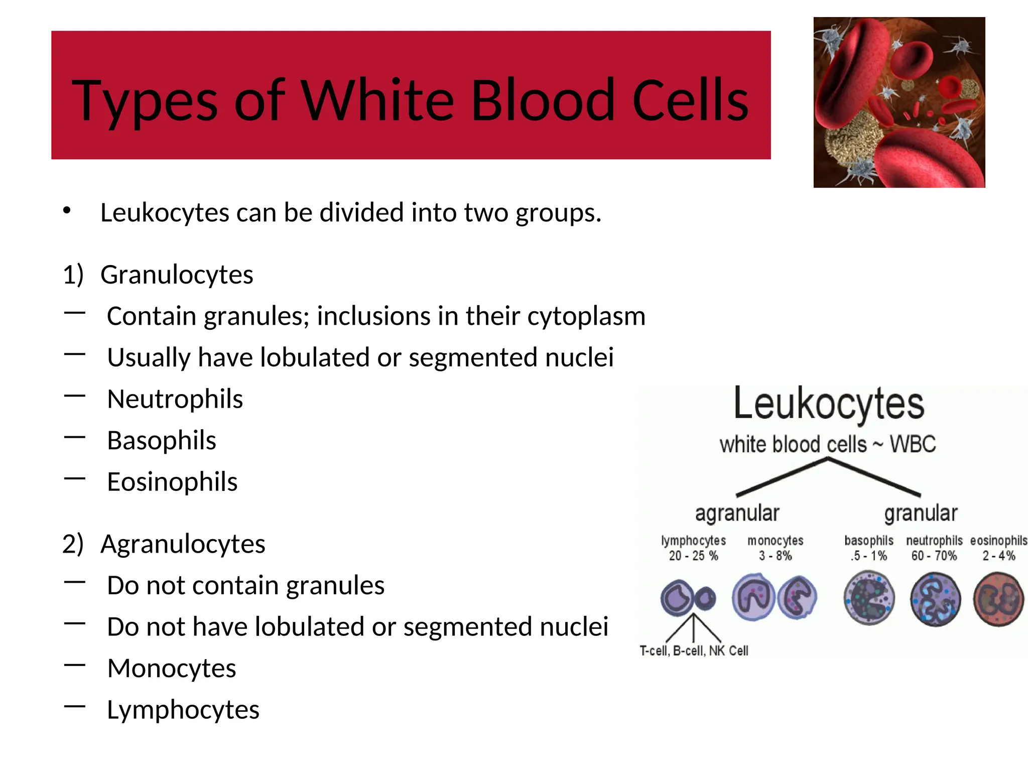 Normal human Blood Cell Morphology.ppt