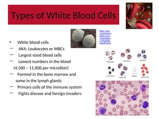 Normal human Blood Cell Morphology.ppt