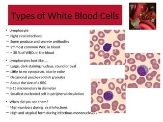 Normal human Blood Cell Morphology.ppt