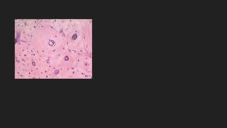 Normal Cells and Tissues | PPT