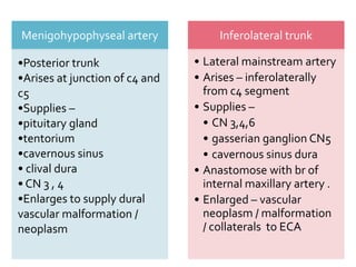 Normal cerebral angiogram final | PPTX