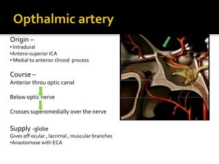Normal cerebral angiogram final | PPTX