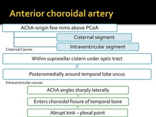 Normal cerebral angiogram final | PPTX