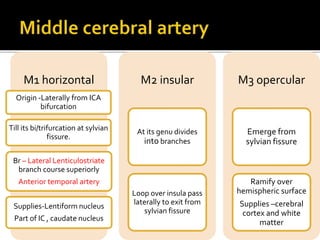 Normal cerebral angiogram final | PPTX