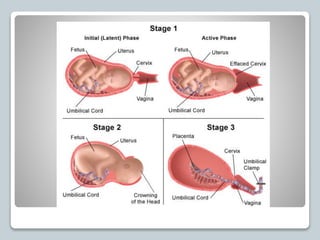 Normal Childbirth.pptx