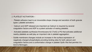 Normal coagulation | PPTX