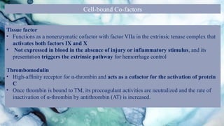 Normal Coagulation Physiology Physiologic Blood Coagulation Normal ...