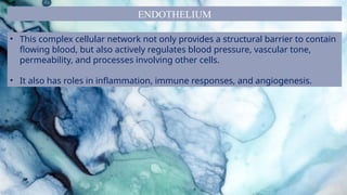 Normal Coagulation Physiology Physiologic Blood Coagulation Normal ...