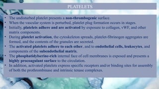 Normal Coagulation Physiology Physiologic Blood Coagulation Normal ...