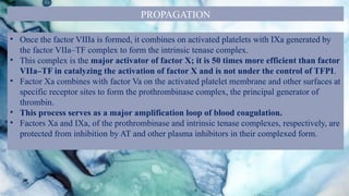 Normal Coagulation Physiology Physiologic Blood Coagulation Normal ...
