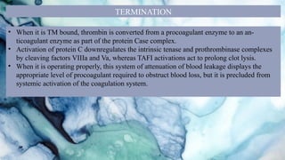 Normal Coagulation Physiology Physiologic Blood Coagulation Normal ...