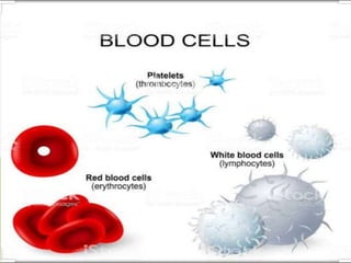 Normal constituents of Blood | PPTX
