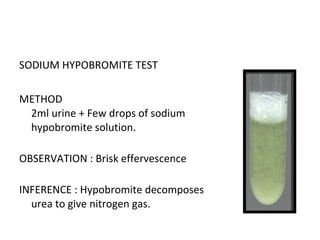 Urea In Urine