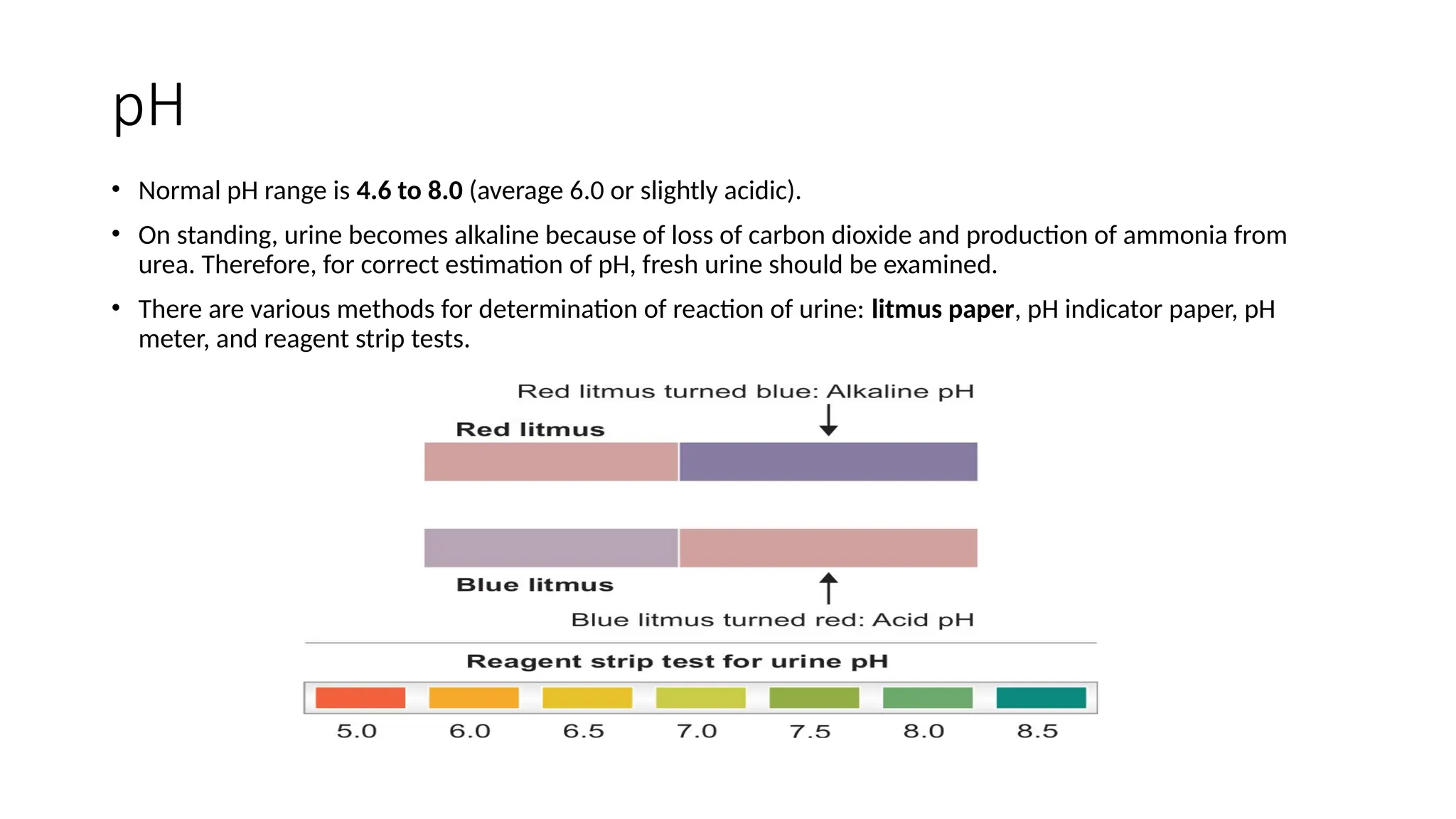 NORMAL CONSTITUENTS OF URINE for undergraduate.pptx