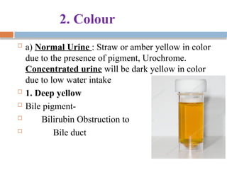 Normal Constituents of Urine - Lux-1.pptx