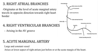 NORMAL CORONARY ANATOMY AND ANGIOGRAPHIC VIEWS SOURCE.pptx