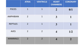 NORMAL CORONARY ANATOMY AND ANGIOGRAPHIC VIEWS SOURCE.pptx