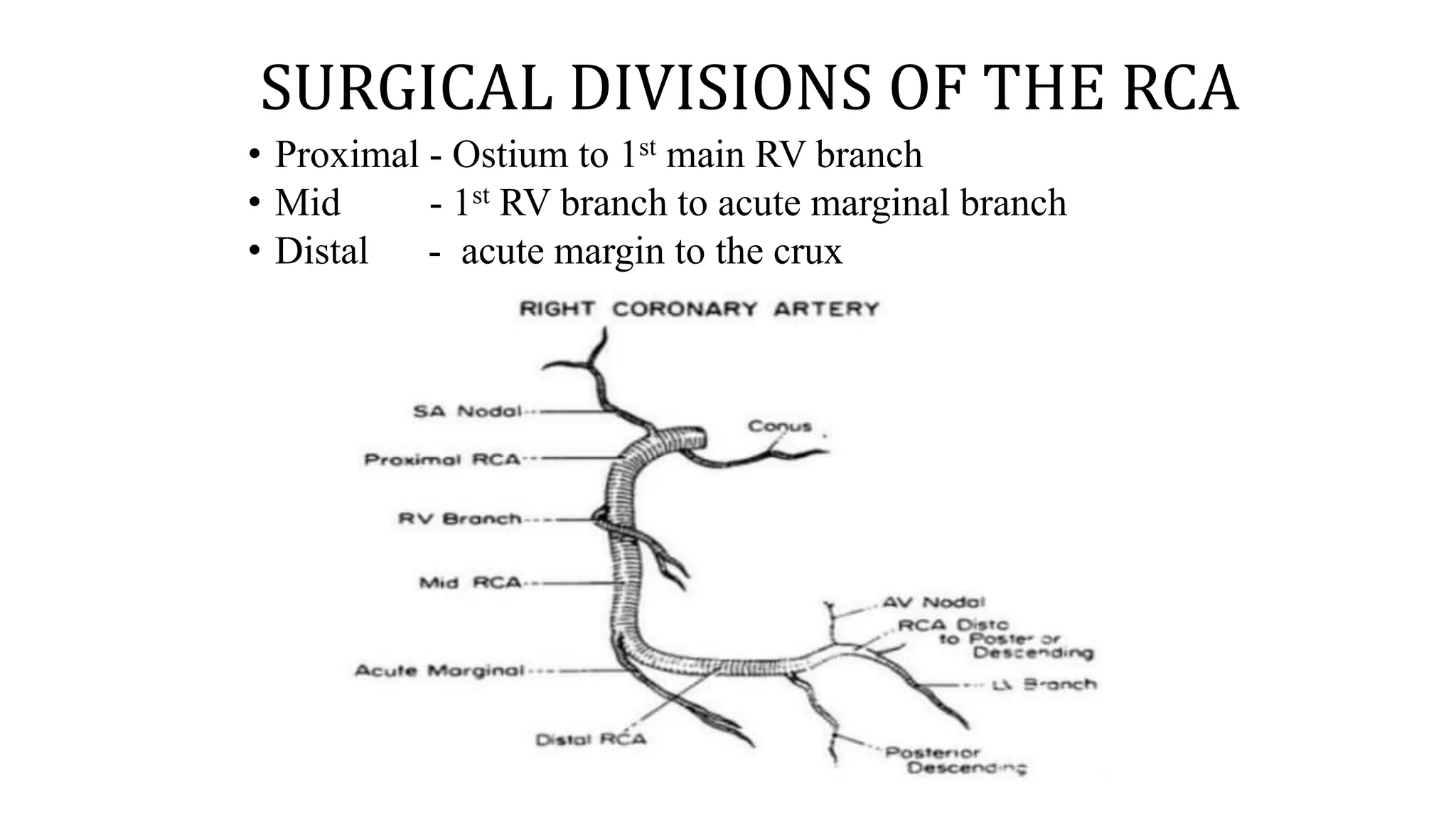 NORMAL CORONARY ANATOMY AND ANGIOGRAPHIC VIEWS SOURCE.pptx