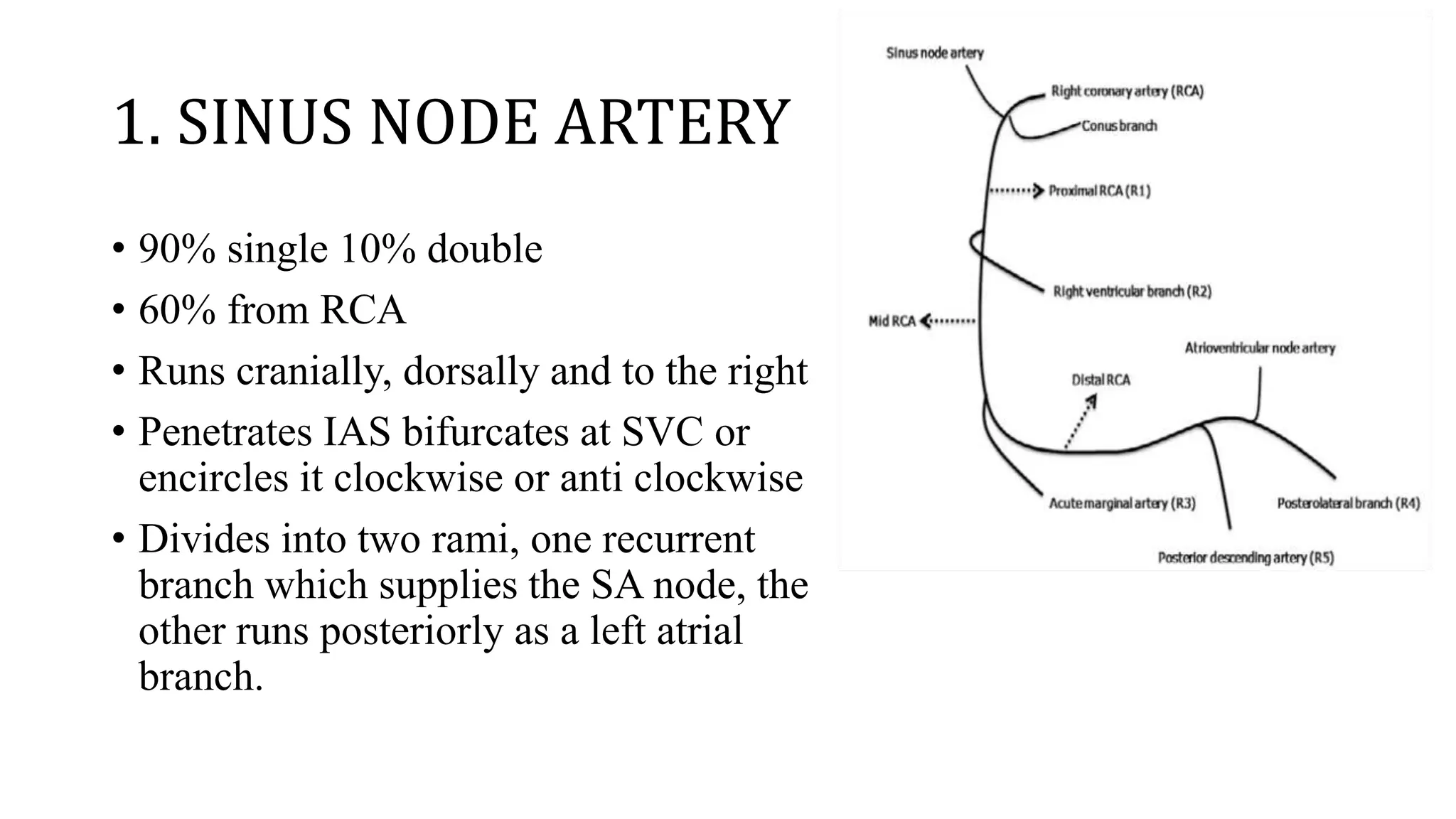 NORMAL CORONARY ANATOMY AND ANGIOGRAPHIC VIEWS SOURCE.pptx