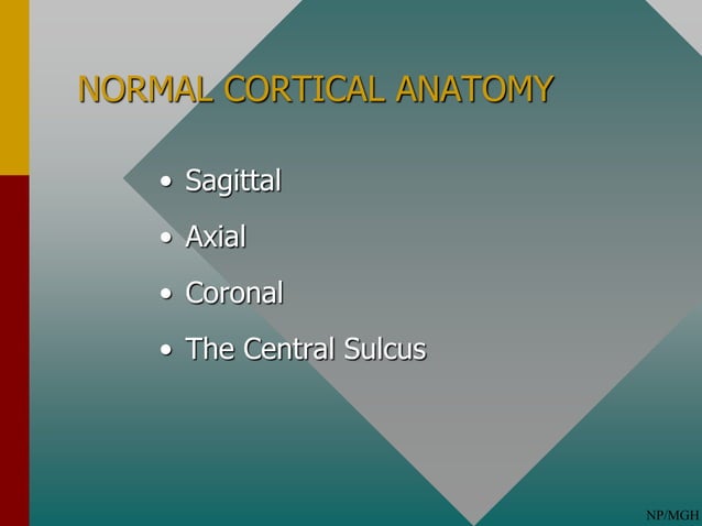 Normal Cortical Anatomy.pptx