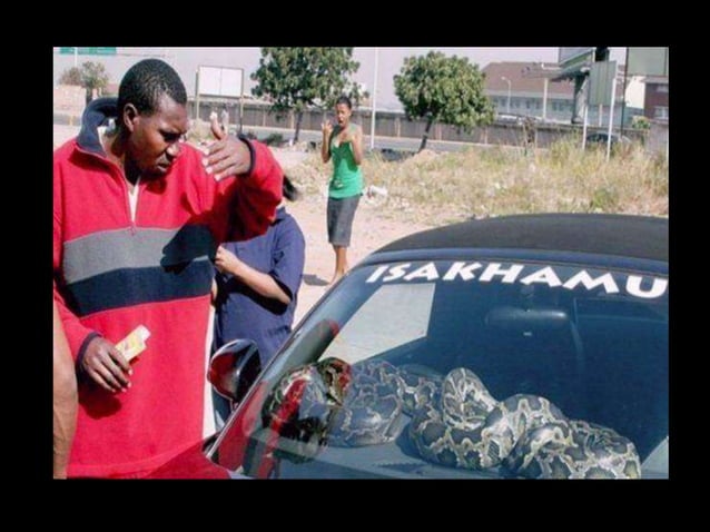 Normal day in africa | PPTX