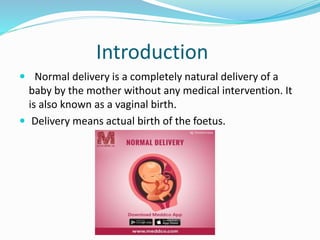Normal delivery ppt | PPTX