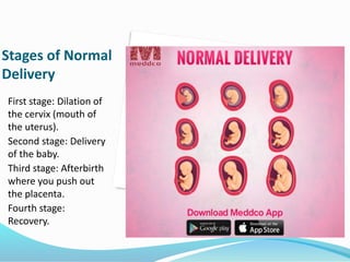 Normal delivery ppt | PPTX | Pregnancy | Reproductive Health