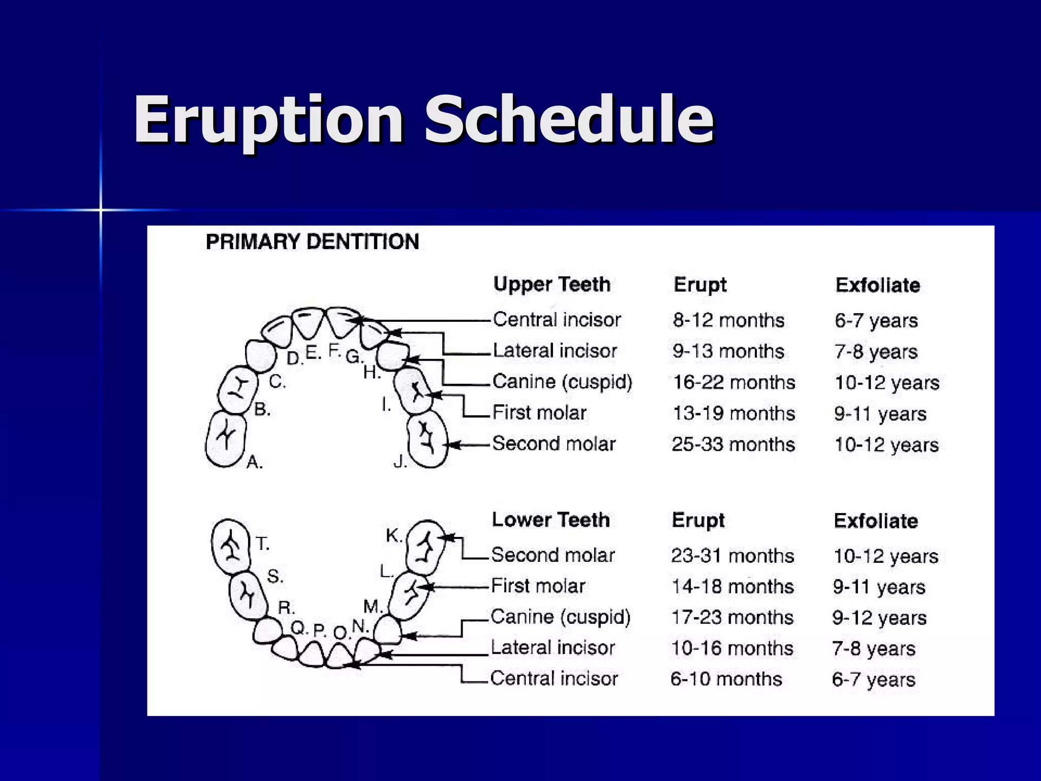 Normal+dental+development+and+oral+pathology | PPT