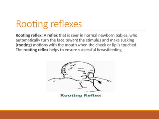 NORMAL DEVELOPMENT.pptx by the book having complete understanding | PPT