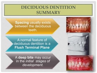 Normal development of occlusion part 1 | PPTX