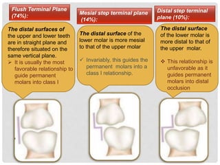 Normal development of occlusion part 1 | PPTX