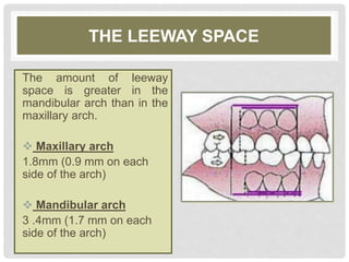 Normal development of occlusion part 1 | PPTX