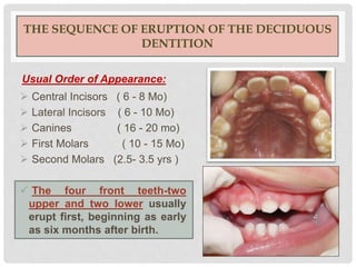 Normal development of occlusion part 1 | PPTX