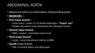 Normal doppler spectral pattern of abdominal and limb vessels final | PPTX