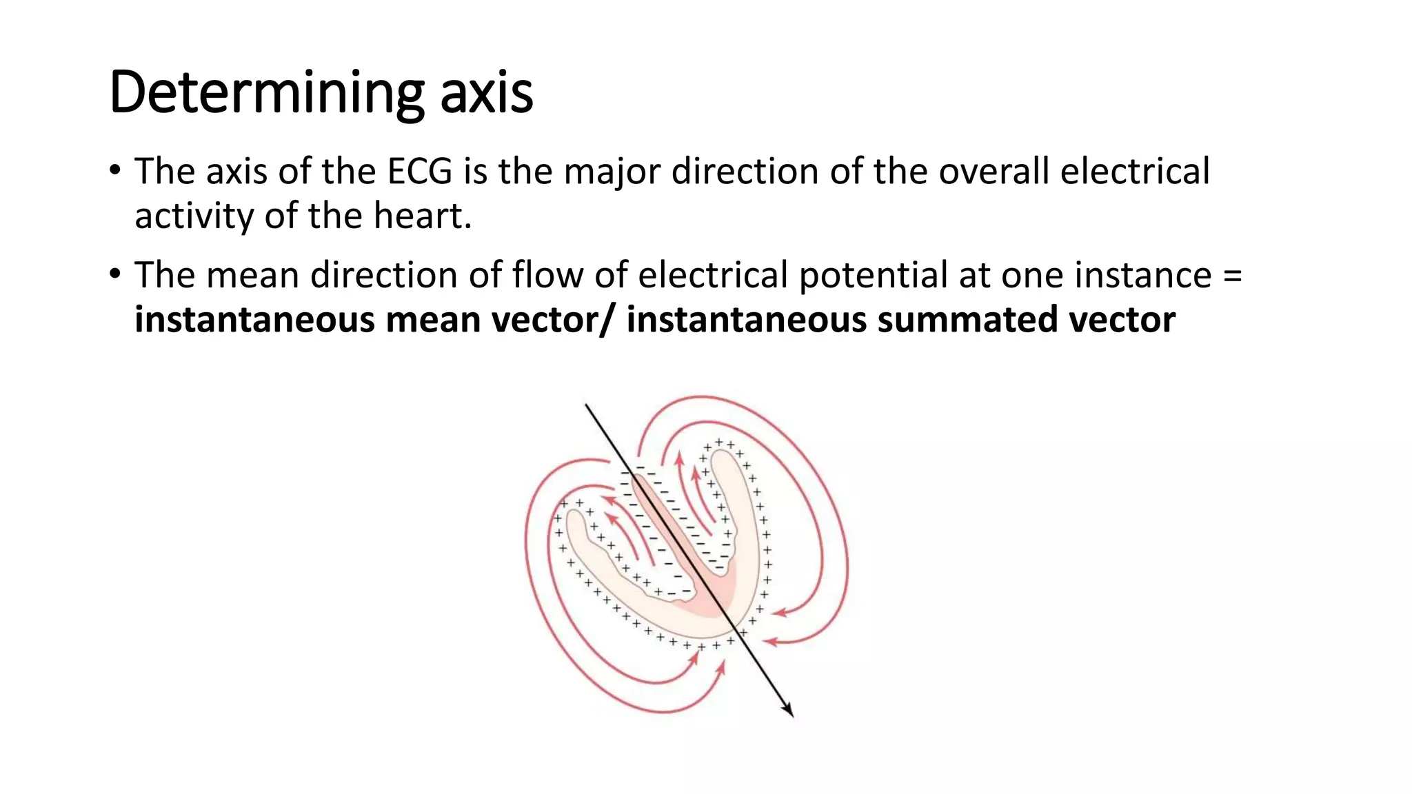 NORMAL ECG.pptx
