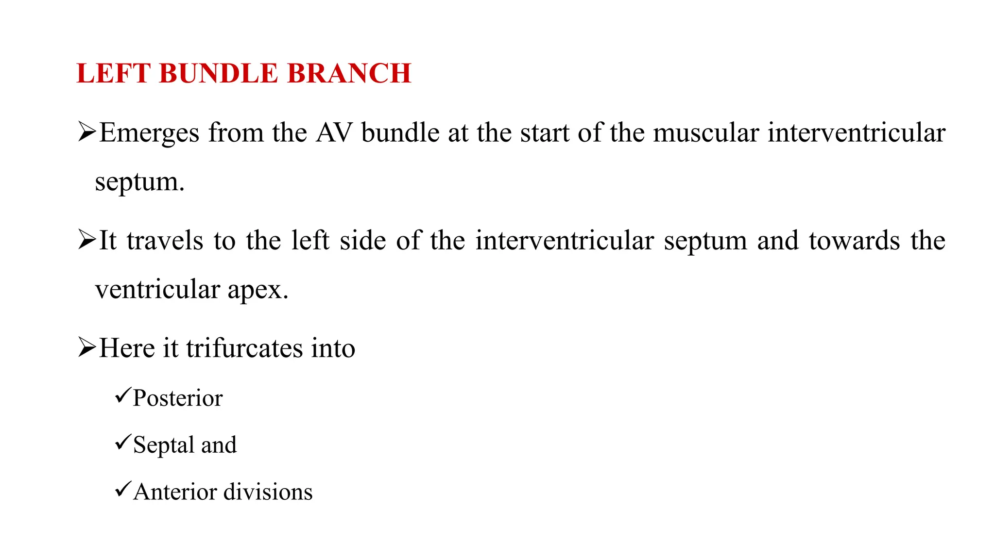 NORMAL Electrocardiogram, ECK/EKG PPT.... | PPTX