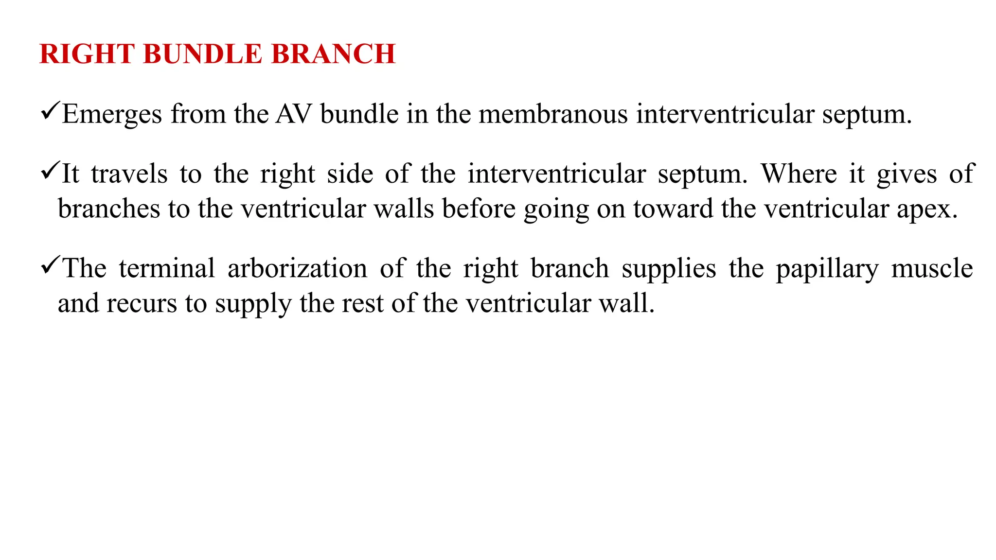 NORMAL Electrocardiogram, ECK/EKG PPT.... | PPTX