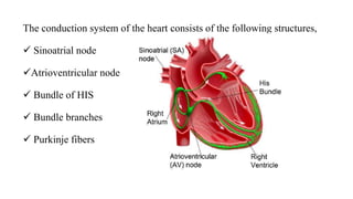 NORMAL Electrocardiogram, ECK/EKG PPT.... | PPTX