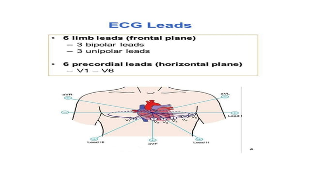 NORMAL Electrocardiogram, ECK/EKG PPT.... | PPTX