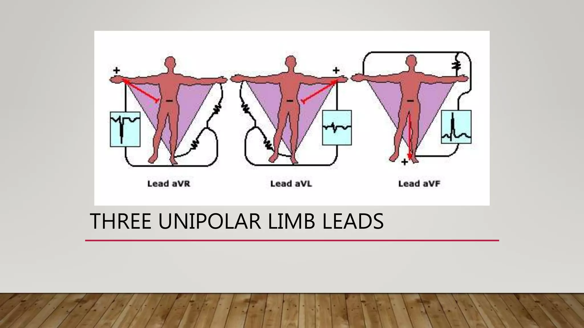 12 LEAD NORMAL ELECTROCARDIOGRAM | PPTX