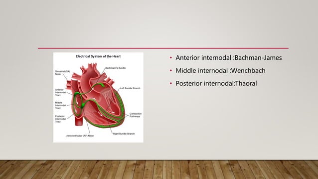 12 LEAD NORMAL ELECTROCARDIOGRAM | PPTX