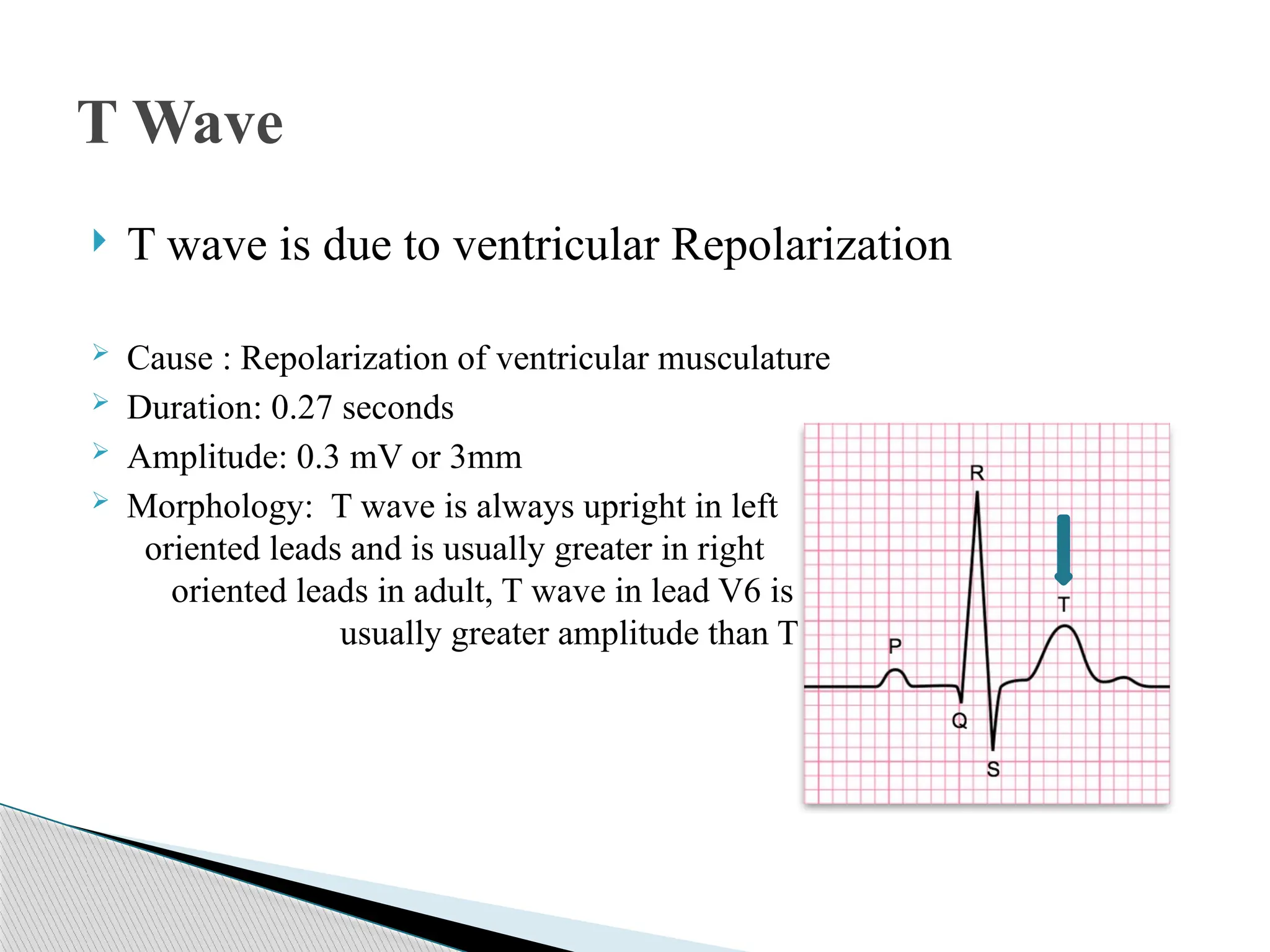 New 1 Normal ECG and it’s Interpretation.pptx
