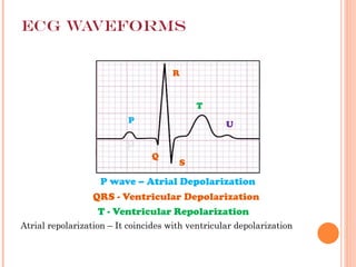 Normal Electrocardiogram Measurements.ppt