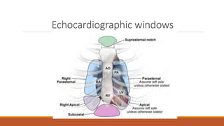 Normal Echocardiogram. Based on cardiac studies | PDF