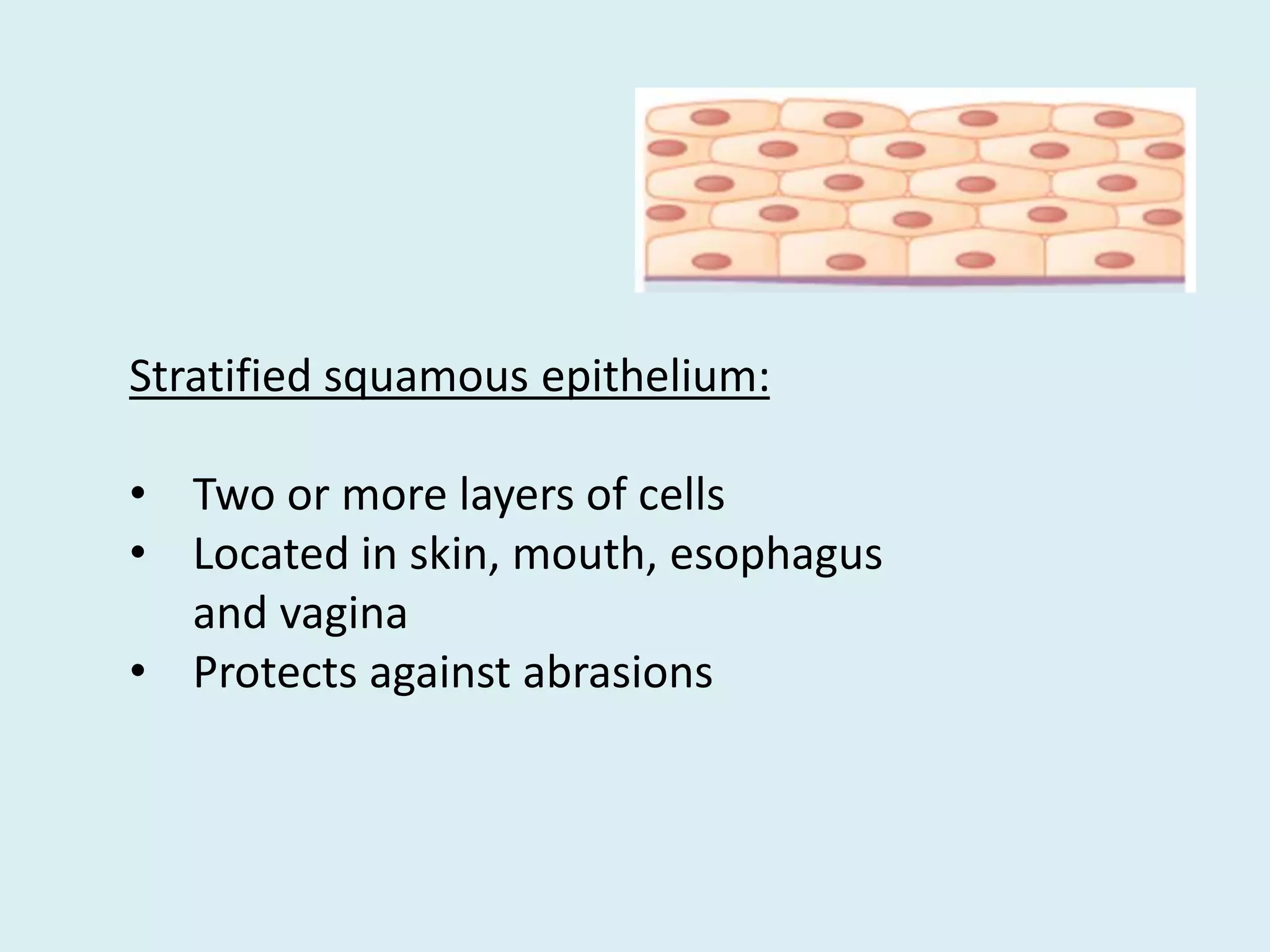 Normal epithelium | PPTX